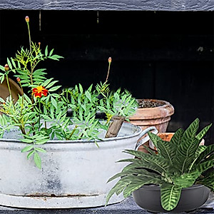 Healeved 2pcs Large Bonsai Pot Plastic Planter Reusable Oval Bonsai Training Pots Flower Planting Container Shallow Planter Pots