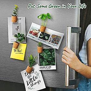 JUSTDOLIFE Plant Fridge Magnets-Mini Succulent Magnets Artificial Plants Refrigerator Magnets Potted Succulent Plants Magnet Stickers Cute for Magnet Boards Fridge Home Office Decor
