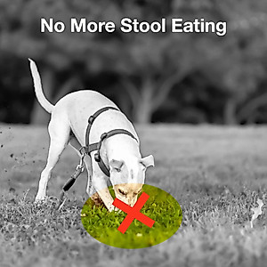 Nutriline Labs Deter-X Dog Poop Eating Deterrent - Chew Treats for Poo Eating Prevention - Yucca, Parsley, Chamomile, Digestive Enzymes, Prebiotics, Probiotics for Dogs - Puppy & Dog Stuff - 60 Bites