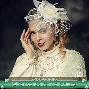 Tigeen 9 Pcs Fascinator for Women Tea Party Hat Headband Cocktail Veil Flower Feather Mesh Derby Hat for Wedding Church (Simple Color,Classic Style)