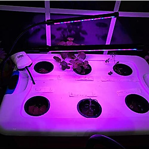 HAZOULEN Garden Plastic Net Cups Pots Fits in 3 Inch Holes for Hydroponics, Set of 15