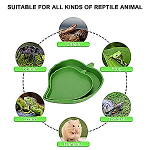 Molain Reptile Leaf Food Water Bowl, 2 Pieces Reptile Leaf Shape Dish Flat Drinking Bowl Water Plate for Turtle Lizards, Hamsters, Snakes 2 Sizes