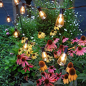 Romasaty 10-Pack ST35 Light Bulbs Replacement Edison Clear Bulbs -5 Watts C7/E12 Screw Base for Indoor/Outdoor Patio String Lights