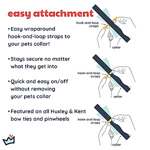 Huxley & Kent Bow Tie for Pets | Happy Barkday (Small) | Birthday Velcro Bow Tie Collar Attachment | Fun Bow Ties for Dogs & Cats | Cute, Comfortable, and Durable | H&K Bow Tie