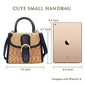 boshiho Retro Straw Woven Handbag Womens Small Cross Body Bag Shoulder Messenger Satchel (Black)