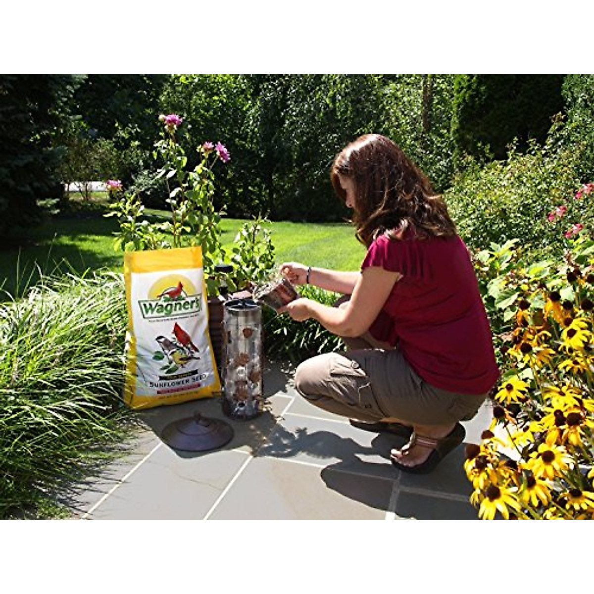 Wagner's 76027 Black Oil Sunflower Wild Bird Food, 25-Pound Bag & 62012 Southern Regional Blend Wild Bird Food, 20-Pound Bag
