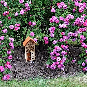FUNPENY Wooden Insect House, Insect Hotel with Brush for Butterfly, Bees and Ladybugs