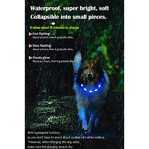 Waterproof LED Dog Collar USB Rechargeable Light Up Dog Collars Lights for Night Walking Lighted Safety Training & Behavior Aids for Small Medium to Large Dogs