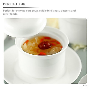Luxshiny 2pcs Soup Cups with Lids White Ceramic Stew Pot with Lid Steam Soup Bowl Steaming Cup Soup Noodle Bowl Stockpot Cookware for Egg Custard Medicinal and Birds Nest 4 Inches