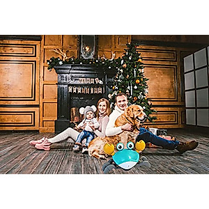 ReeRaa Crawling Crab Baby Toy Infant Tummy time Toys 3 4 5 6 Babies boy Girl Sensory Toys Montessori Toys 3-6 6-12 Learning to Crawl 9-12 12-18 Walking Toddler Gifts (Green)