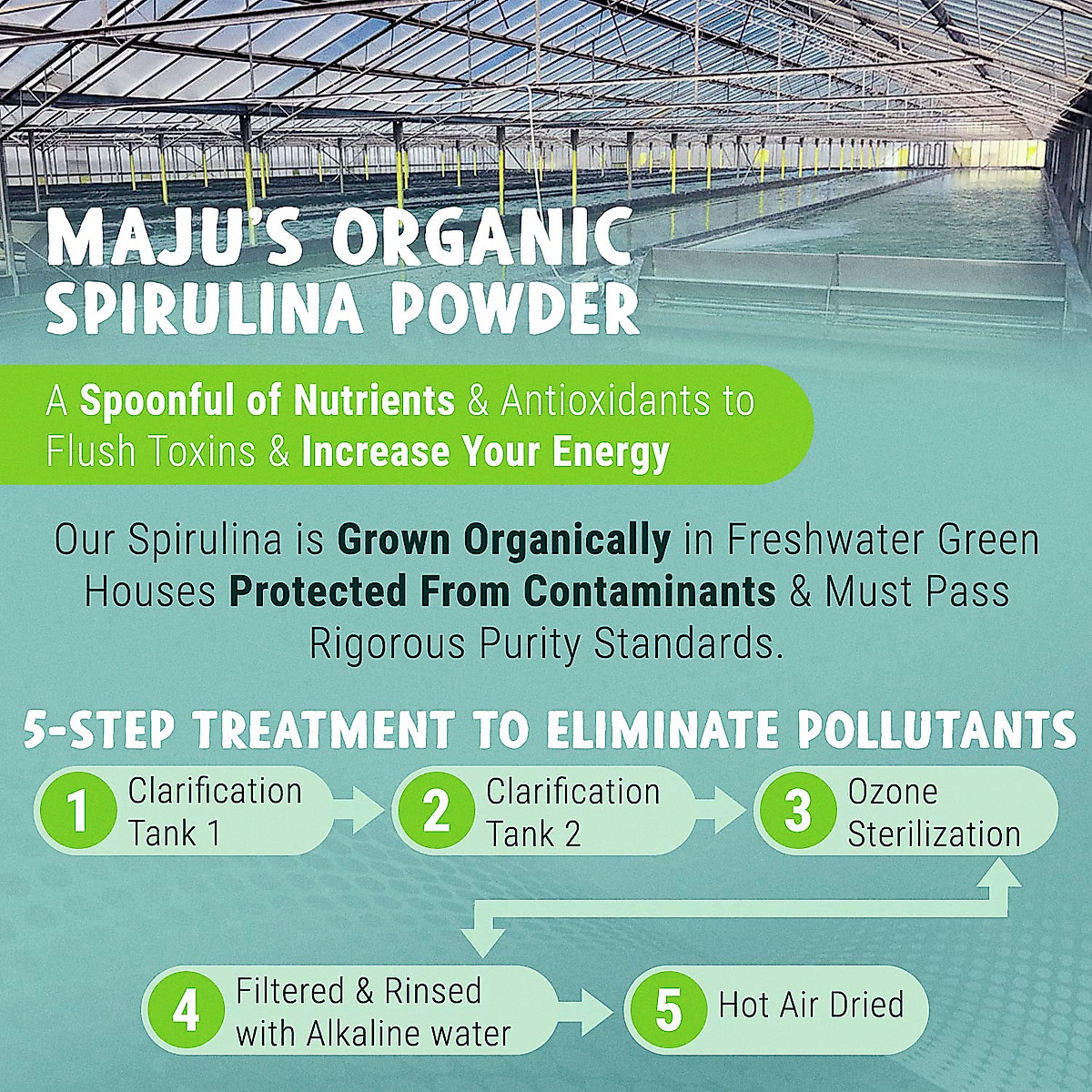 MAJU's Organic Spirulina Powder .5 lb, Microcystin Free, Non-Irradiated, Preferred to Chlorella, Preferred to Hawaiian & Blue Algae, Pure Vegan Green Protein