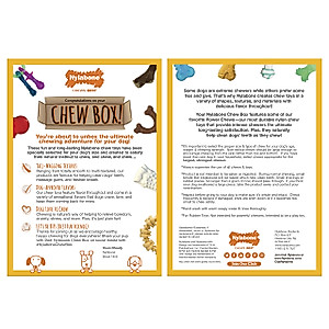 Nylabone Chew Toy Dog Surprise Box Variety Small/Regular (1 Count)