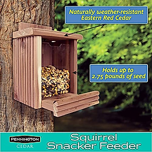 Pennington Cedar Squirrel Snacker Feeder, 1 LB Capacity