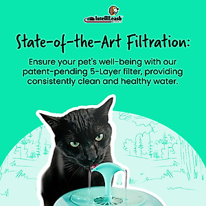 Purrfect Water Fountain Filter Set: 5-Layer Filter and Sponge Filter