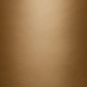 KRYLON DIVERSIFIED BRANDS K01706 Krylon Spray Paint, Gold 12 Ounce (Pack of 1)