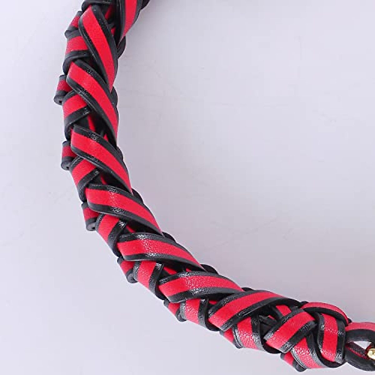 IBWell for LV Neonoe Beaubourg Hobo Bucket Bags with Premium Original Hardware without Logo,12/18 inches Top Handle Braided Handle Strap Replacement(Red)