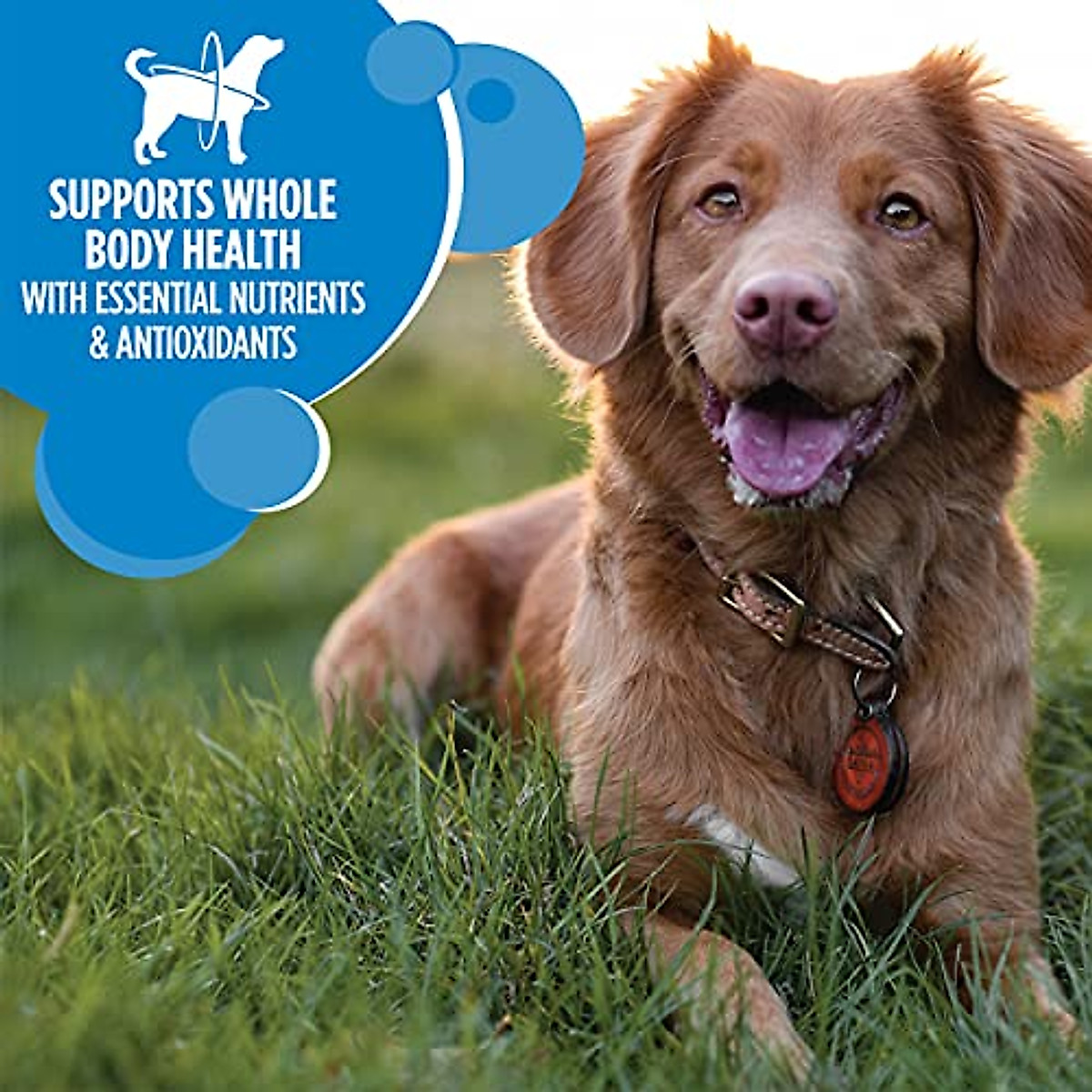 IAMS Adult Healthy Weight Control Dry Dog Food with Real Chicken, 15 lb. Bag