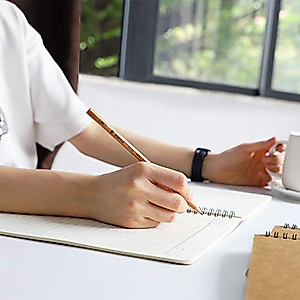 EUSOAR Spiral Notebook, B5 3 Pack 7.3"x10.2" 120 Pages Hardcover Kraft Lined College Ruled Travel Writing Notebooks Journal, Memo Notepad Sketchbook, Students Office Business Subject Diary Journal