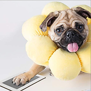 Baby Footprint Kit Pet Paw Print Kit Handprint Ink Pads 2 Packs Medium Size