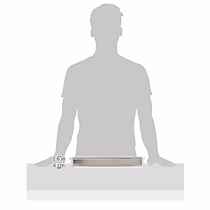 Stainless Yakumi Pan/Seasoning Container w/4 Compartments