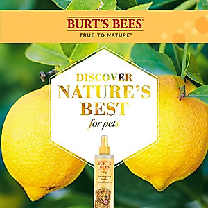 Burt's Bees for Dogs Natural Detangling Spray With Lemon and Linseed | Dog and Puppy Fur Detangler Spray to Comb Through Knots, Mats, and Tangles- Made in the USA, 10 Ounces