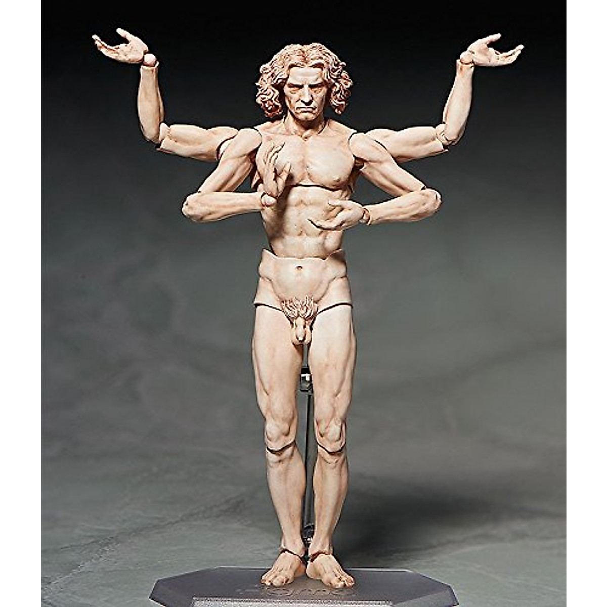 FREEing Table Museum The Vitruvian Man Figma Action Figure