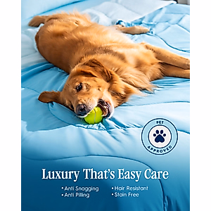 REST® Evercool® Cooling Comforter, Good Housekeeping Award Winner for Hot Sleepers, All-Season Lightweight Blanket to Quickly Cool Down, Snow Ivory - Twin/Twin XL 68" x90”