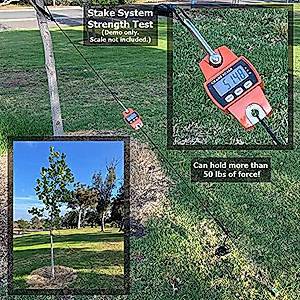 Complete Tree Stake Kit with Stakes, Supports, and Improved Rope - Ideal for Tree Staking, Straightening, and Support