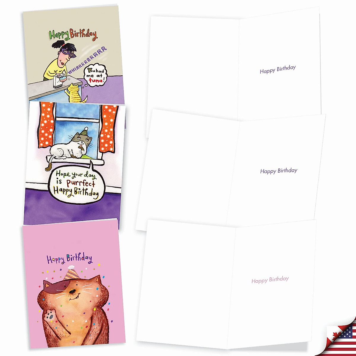 The Best Card Company - 10 Cute Birthday Note Cards with Envelopes (4 x 5.12 Inch) - Pets and Animal Notecards, Boxed Assortment - Kitty Birthday M3791BDG-B1x10