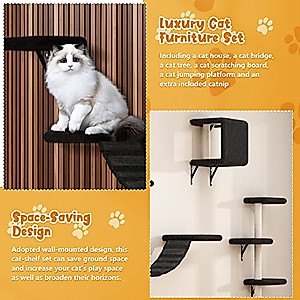 COZIWOW 5 Pcs Wall-Mounted Cat Climber Set with Cat Shelves and Perches, Ladder, Cat Condo House, Scratching Board and Cat Tree, Cat Wall Shelves Furniture, Wood Indoor,Black