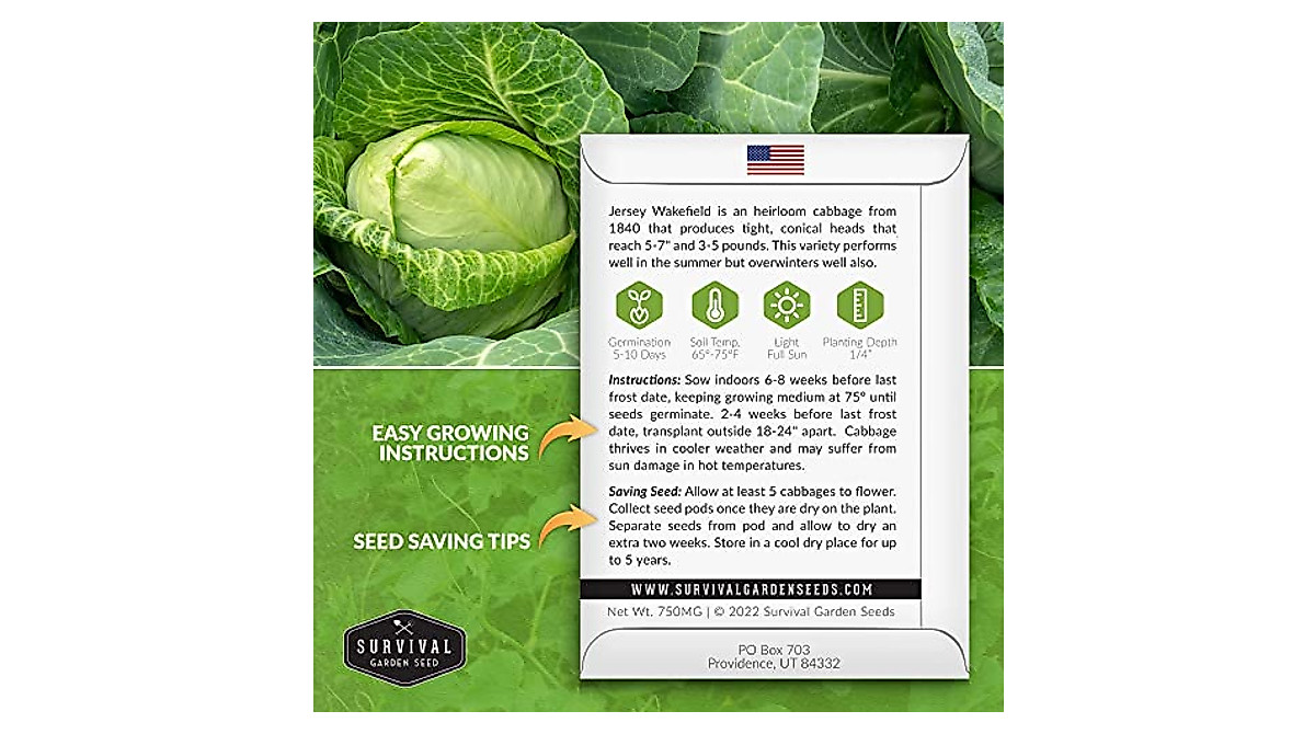 Survival Garden Seeds - Jersey Wakefield Cabbage Seed for Planting - 2 ...
