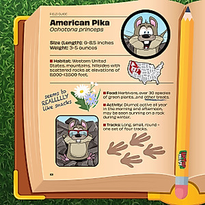 San Juan Spice Trail Mix | 1 LB Bag Spicy Trail Mix — Jalapeno Flavored Pretzels, Hot Peanuts, Pumpkin Seeds, BBQ Sticks, & Nacho Corn Sticks Pub Mix for Backpacking Food, Camping Snacks (16oz)