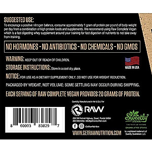 RAW 100% Vegan Protein Powder | Low Carb Vegan Protein Powder, Zero GMO, Non-Dairy, No Artificial Ingredients, Low Sugar Protein | Rich Taste, Natural Sweetened Flavor | Chocolate (25 Servings)