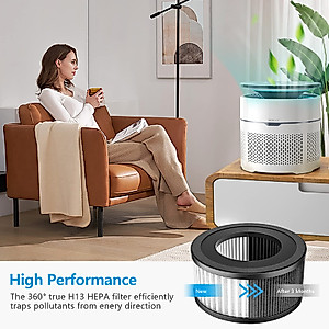 WeGuard True HEPA Filter, Compatible with WeGuard AP-T9/ AP-T10 True HEPA Air Purifier Air Cleaner （1 Pack)