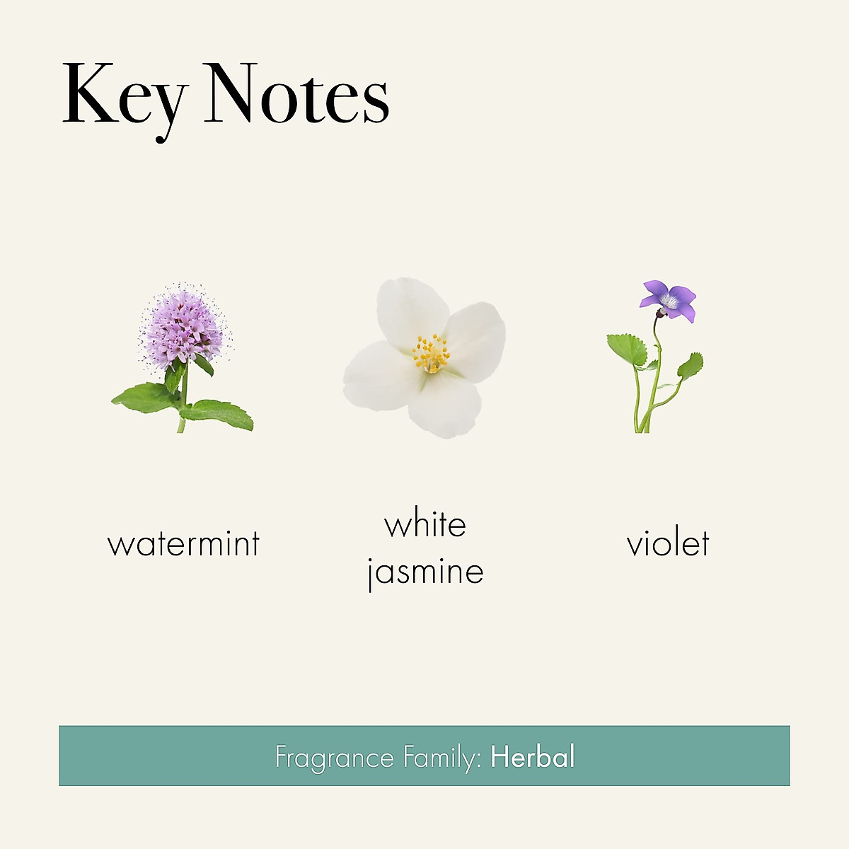 LAFCO Watermint Agave Classic Candle, Desert House