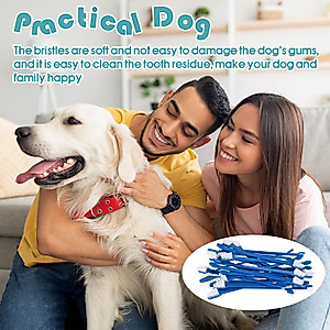 Gerrii 200 Pcs Dog Toothbrush Double Headed Dog Pet Toothbrush Long Handle Dog Tooth Brushing Kit Soft Bristles Pet Toothbrush for Dogs Cat and Most Pets Teeth Cleaning Dental Oral(Blue)