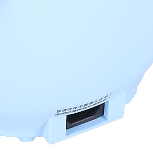 DEPILA 2L Car Mini Rice Cooker for Truck RV Marine Travel, 24V Rice bucket