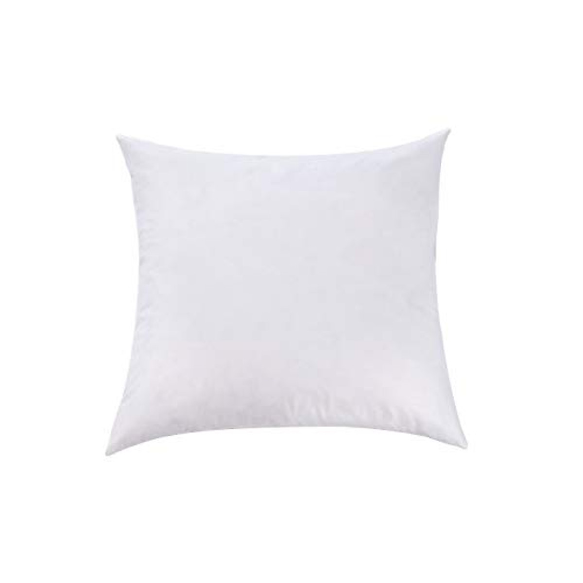 L' COZEE Premium Feather and Down Pillow Insert, Decorative Throw Stuffer Inserts, Hypoallergenic, Cotton Cover, White (17x17)'