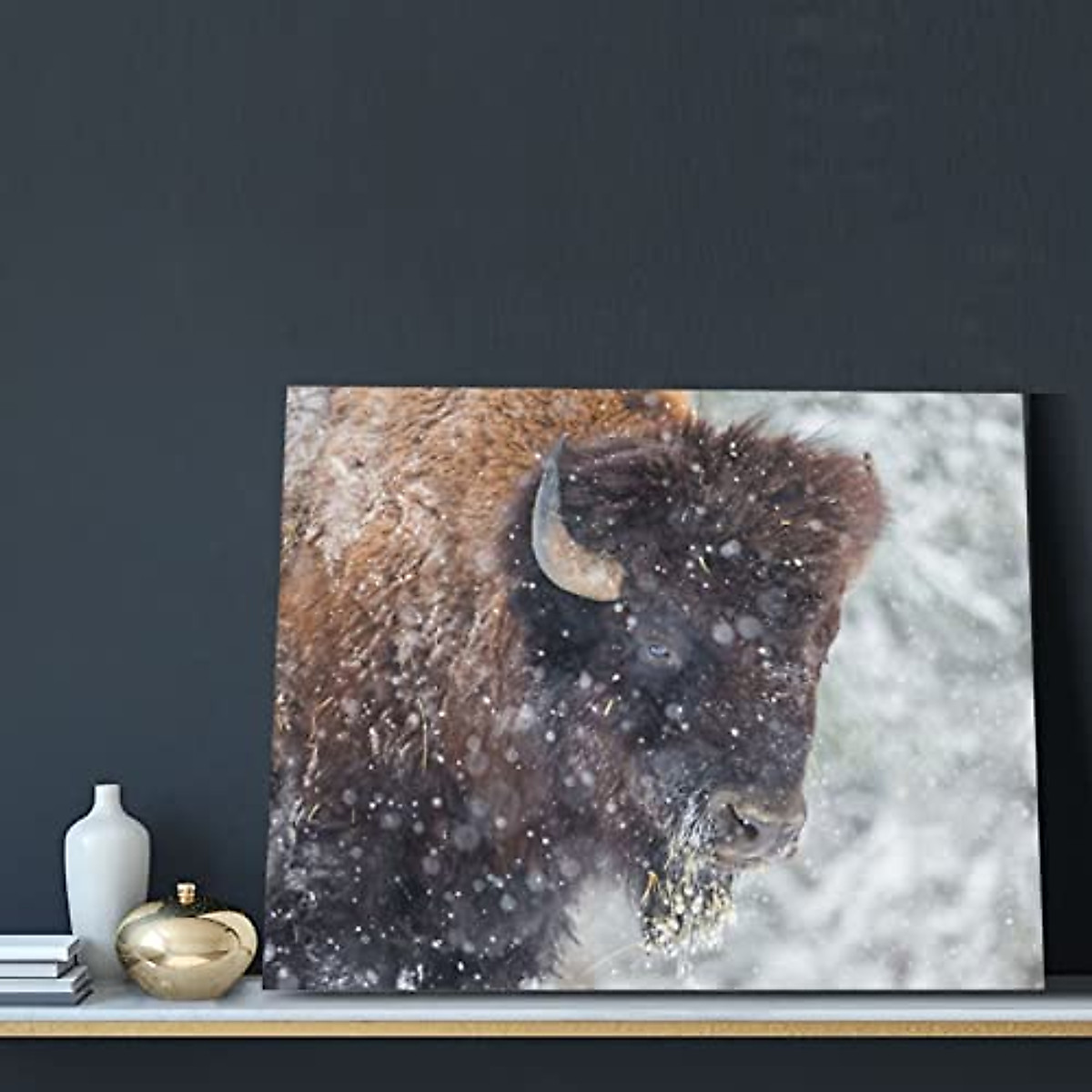 MOYMTEP American Bison Or Buffalo Resting in A Snow Storm Canvas Wall Art Gallery Artwork for Living Room Bedroom - Modern Home Decor Stretched and Framed Ready to Hang Pictures 16x20 Inches