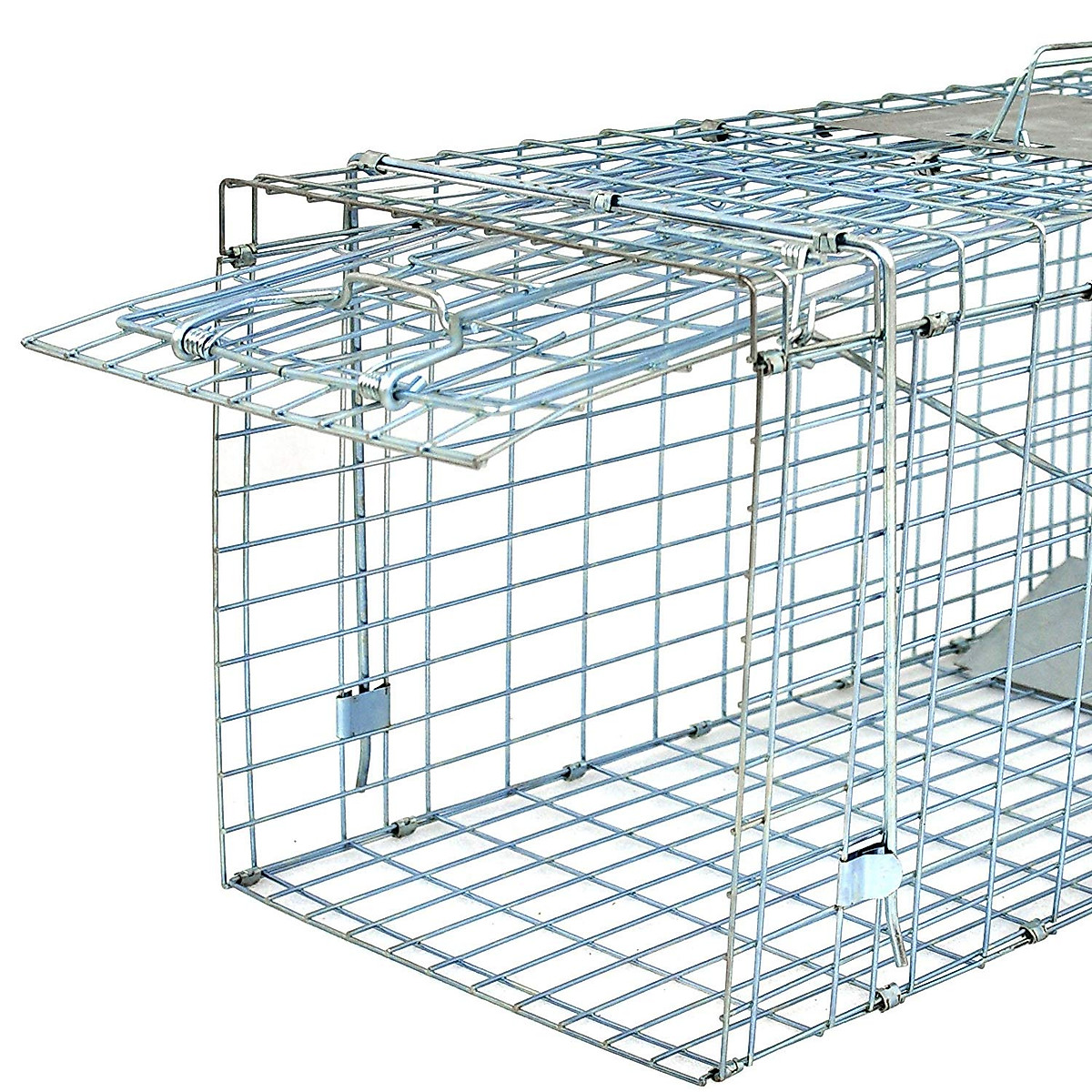 Oteymart Live Animal Trap Cage Catch Release Humane Rodent Cage with Handle Metal Steel for Rabbits, Stray Cat, Squirrel, Raccoon, Mole, Gopher, Chicken, Opossum (32" X 12" X 12")
