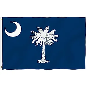 ANLEY Fly Breeze 3x5 Foot South Carolina State Polyester Flag - Vivid Color and Fade Proof - Canvas Header and Double Stitched - South Carolina SC Flags with Brass Grommets 3 X 5 Ft