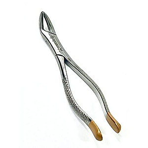 German Dental Extracting Forceps #151-Lower Bicuspid, Lower Incisor, Lower Root, Universal Extraction Forceps Dental Instruments -Cynamed