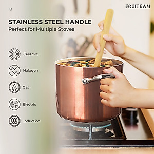 FRUITEAM Nonstick Stock Pot 7 Qt Soup Pasta Pot with Lid, 7-Quart Multi Stockpot Oven Safe Cooking Pot for Stew, Sauce & Reheat Food, Induction/Oven/Gas/Stovetops Compatible for Family Meals