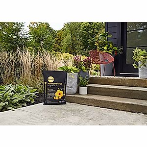 Miracle-Gro Performance Organics All Purpose Container Mix, 16 qt. - Organic, All Natural Plant Soil - Feed for up to 3 Months - All-Purpose Formula for Vegetables, Flowers and Herbs