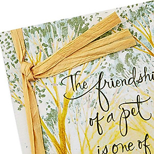 Hallmark Sympathy Loss of Pet Card (Friendship of A Pet)