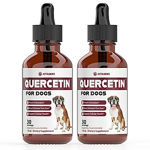 Quercetin for Dogs | Dog Allergy Relief | Quercetin for Dogs Allergies | Dog Allergy | Quercetin | Dog Allergy Support | Quercetin Dog | Dog Allergies | Quercetin Supplements | Bacon Flavor (2 Pack)
