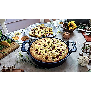 Cuisinart CCP-1000, Pre-Seasoned Cast Iron Griddle Pan, 10"