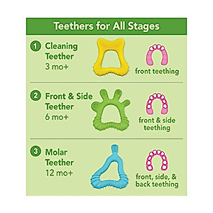 green sprouts Molar Teether made from Silicone | Soothes & massages baby's molar gums & teeth | Soft, flexible silicone eases pain, Easy to hold, gum, & chew, 1 Count (Pack of 1)