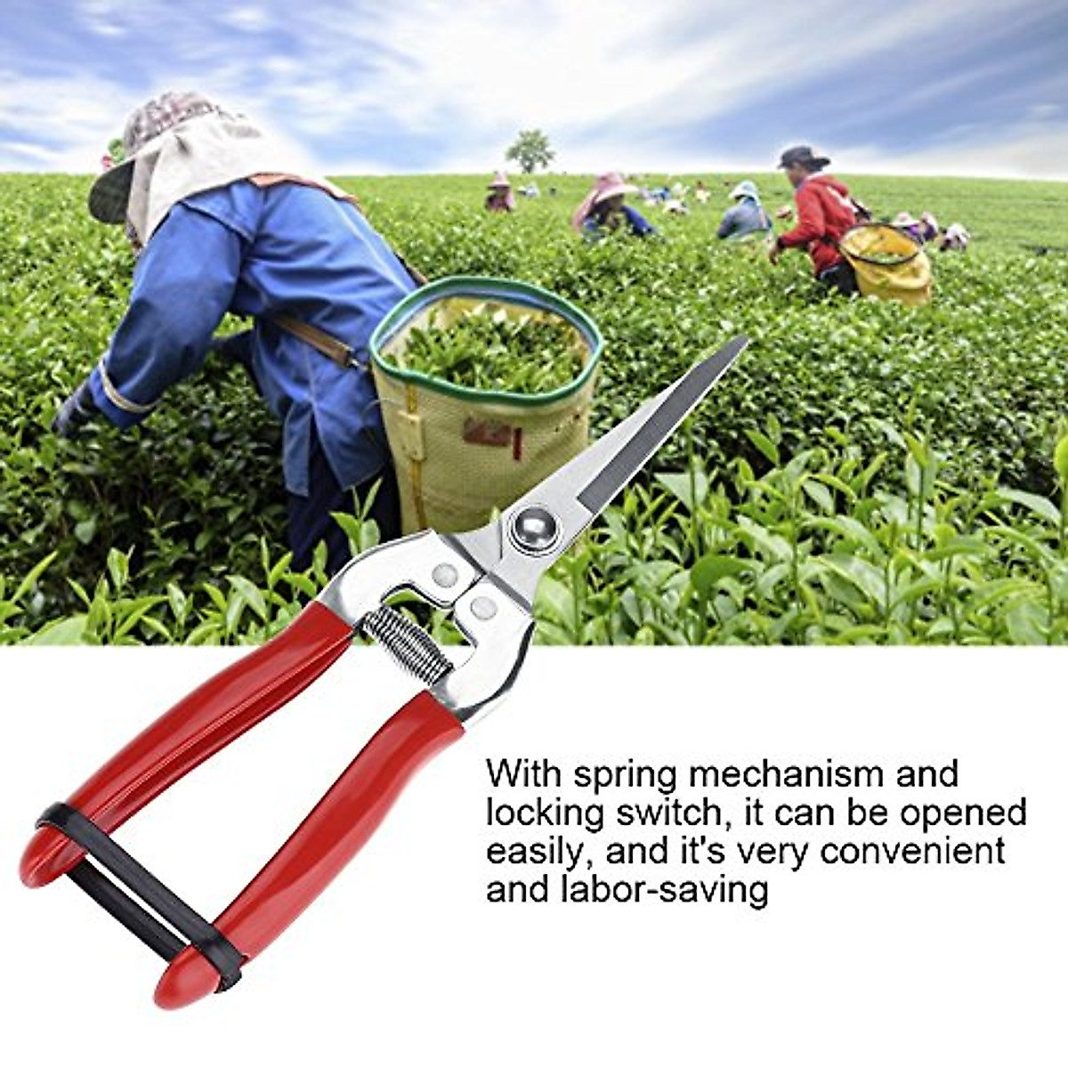 Sturdy Fruit Tree Bonsai Gardening Trimming Pruning Shears Garden Scissors Pruner Tool for Hand Pruners Trimmer Garden Clippers Flower Cutter (Straight Blade)