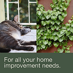 MAPORCH Black Plastic Wire Mesh Fence 15.7IN x 10FT Roll - Ideal for Poultry, Dogs, Rabbit, Snake Barrier & Gardening - Durable Plastic Chicken Wire Mesh - Versatile Plastic Fencing & Netting Solution